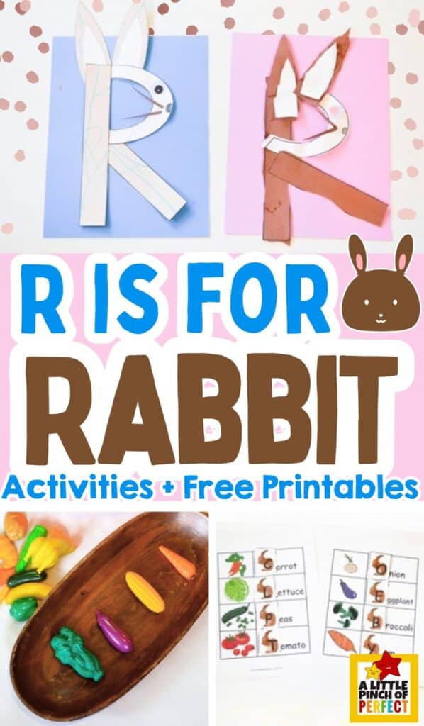 Letter of the Week A-Z Series: R is for Rabbit - A Little Pinch of Perfect
