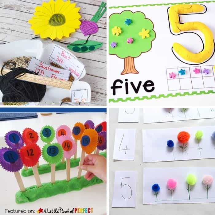 12 Brilliant Flower Math Activities for Kids - A Little Pinch of Perfect