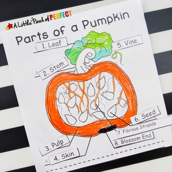 Learning about Pumpkins: Explore, Color, and Label Free Printable - A ...