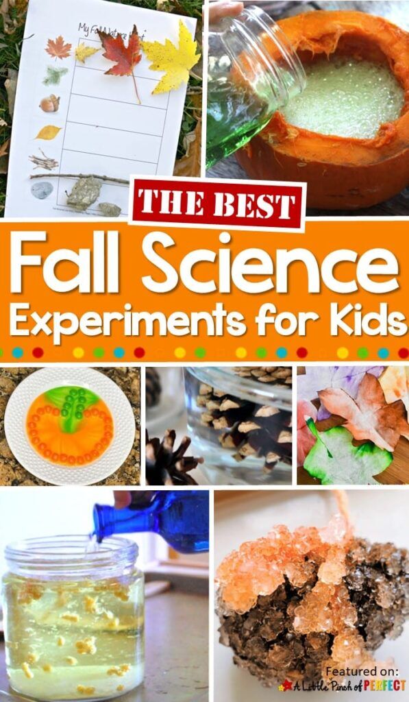 The Best Fall Science Experiments for Kids - A Little Pinch of Perfect