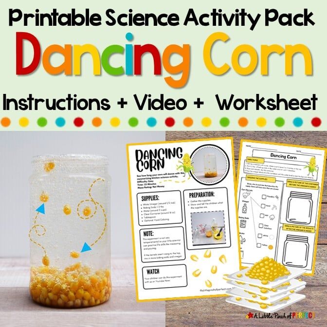 Dancing Corn Science Experiment - A Little Pinch of Perfect