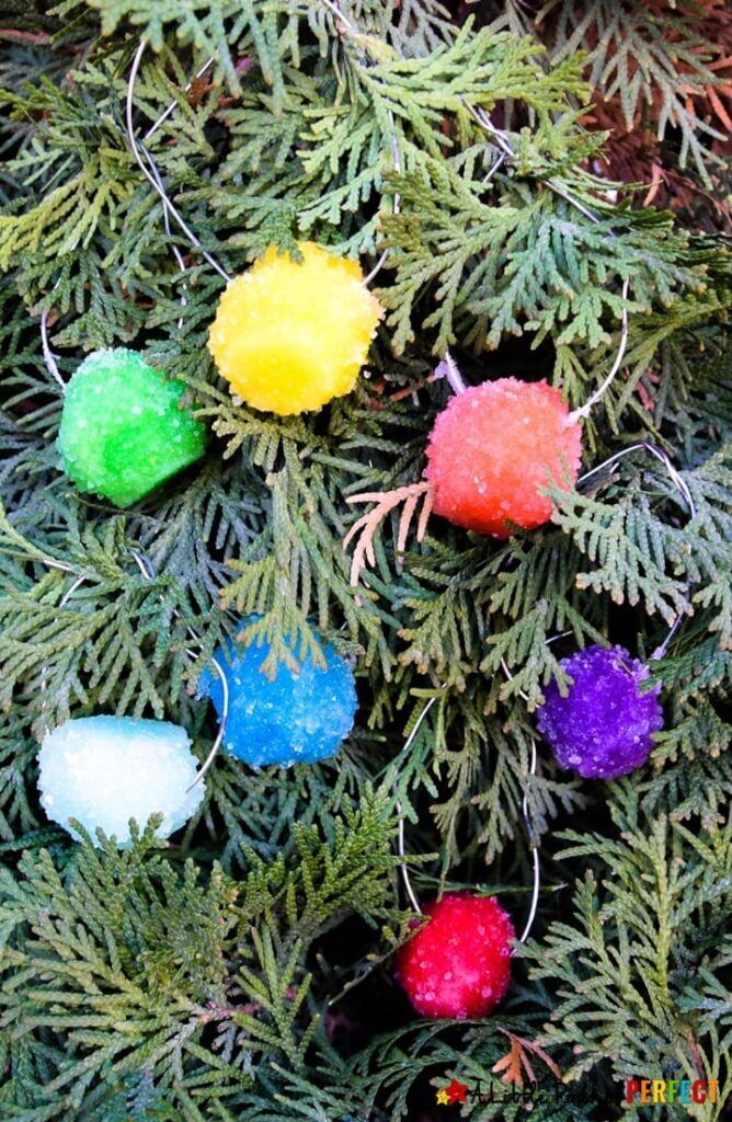Borax Crystal Ornament Balls Science Experiment for Kids - A Little ...