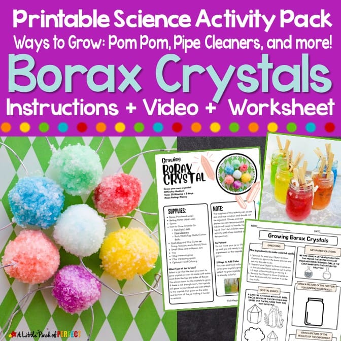 Borax Crystal Ornament Balls Science Experiment for Kids - A Little ...