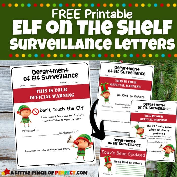 Christmas Elf ADOPTION CERTIFICATE: Free Printable - A Little Pinch of ...