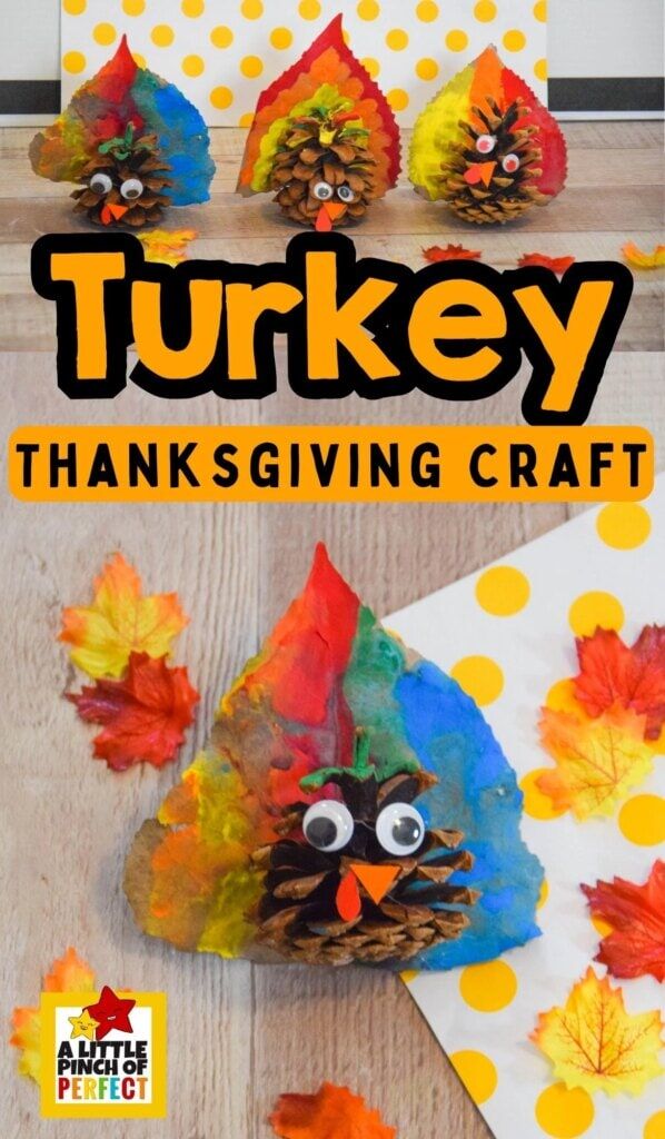 Thanksgiving Turkey Pinecone Craft: DIY Thanksgiving Activity