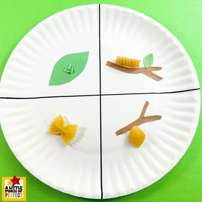 Butterfly Life Cycle Paper Plate Craft - A Little Pinch of Perfect