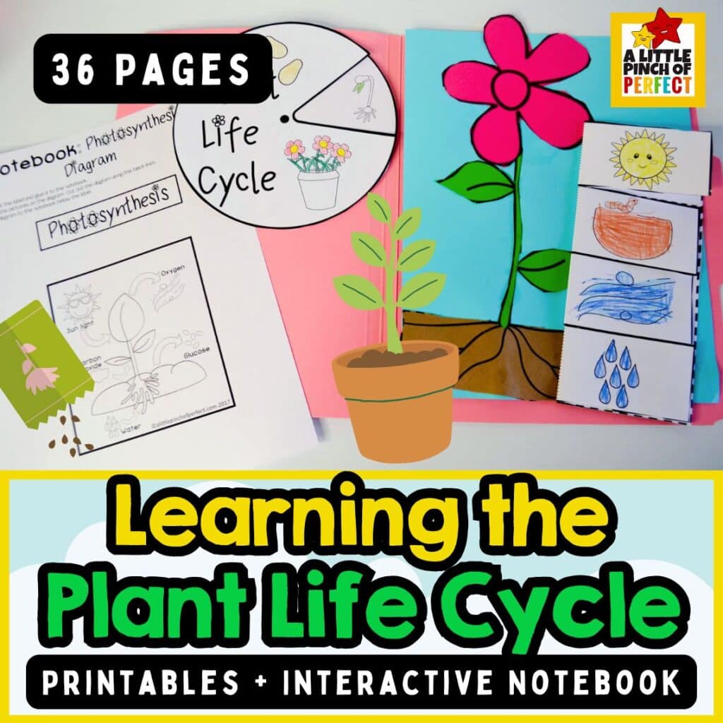 Plant Life Cycle & Photosynthesis Printables: Fun, Hands-On Science ...