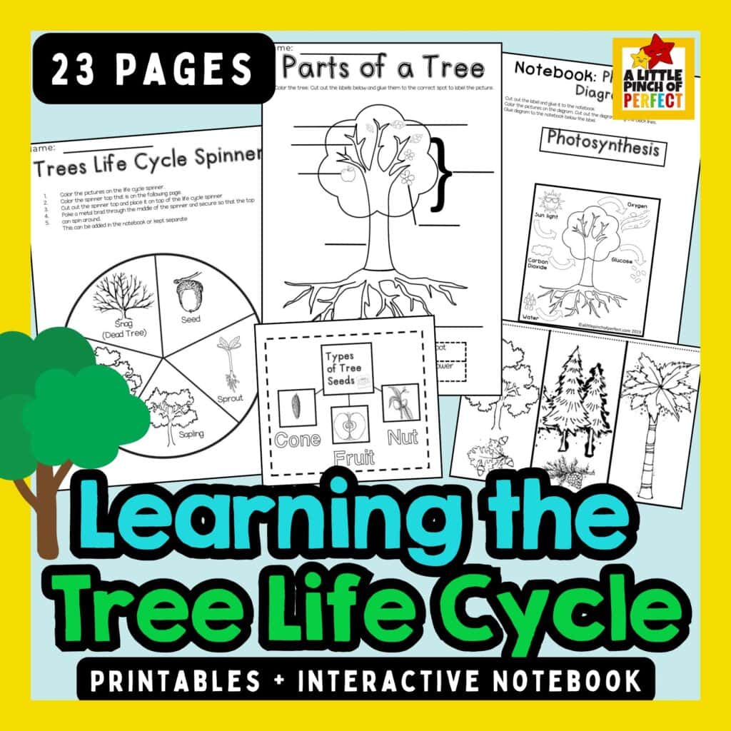 Tree Life Cycle Printables: Fun, Hands-On Science Activities for Kids ...