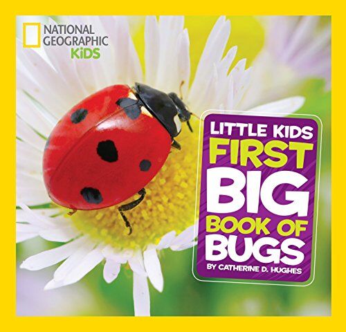 Catch a Bug Math Activity and Free Printable - A Little Pinch of Perfect