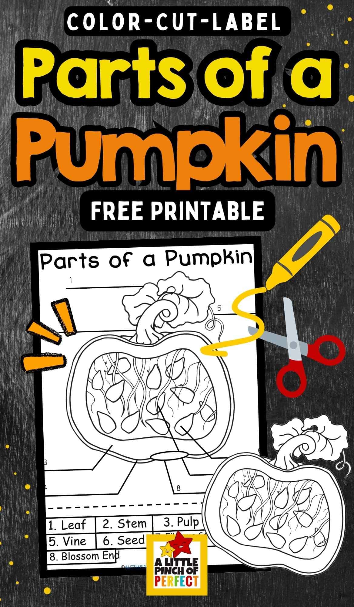 pumpkin labeling worksheet