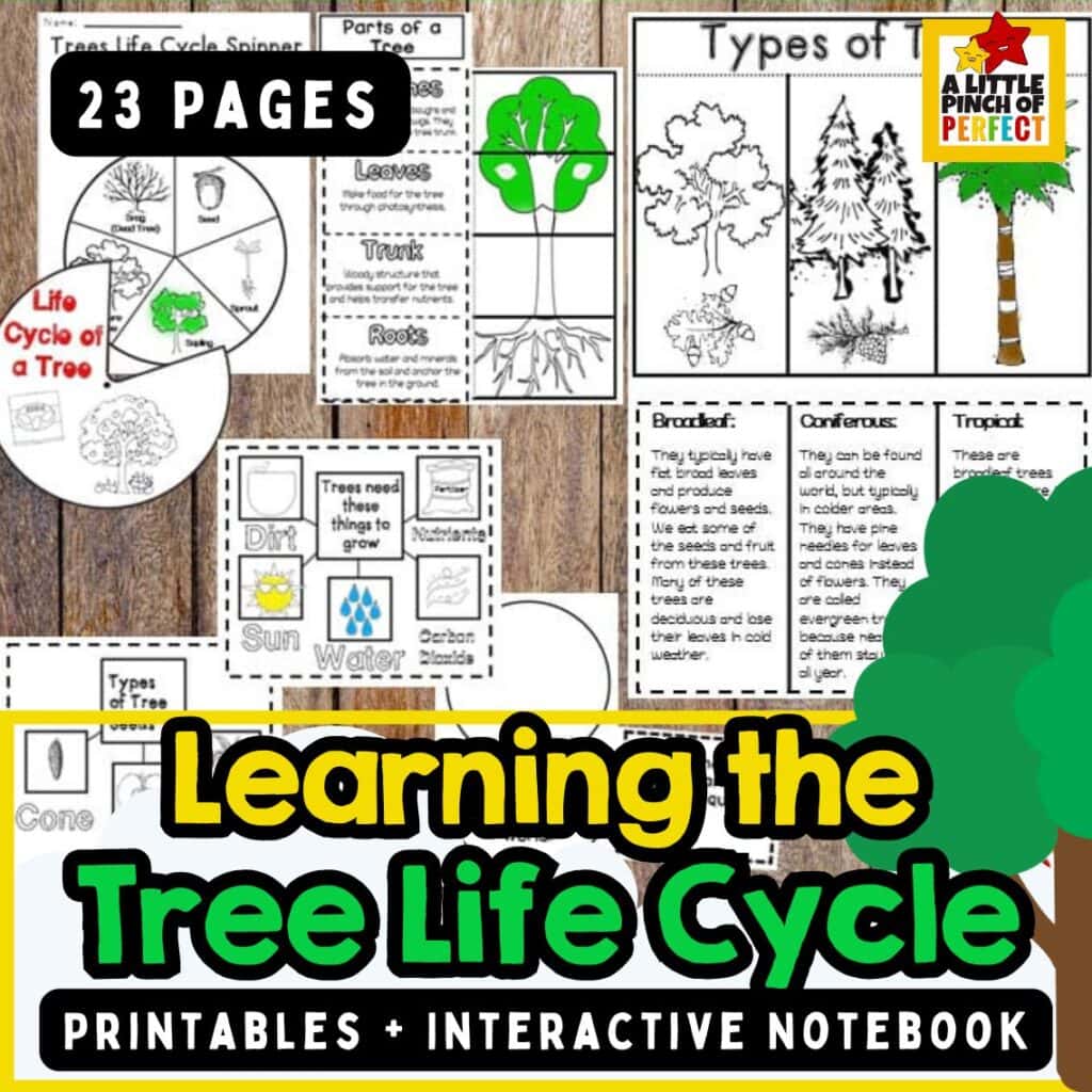 Tree Life Cycle Printables: Fun, Hands-On Science Activities for Kids ...